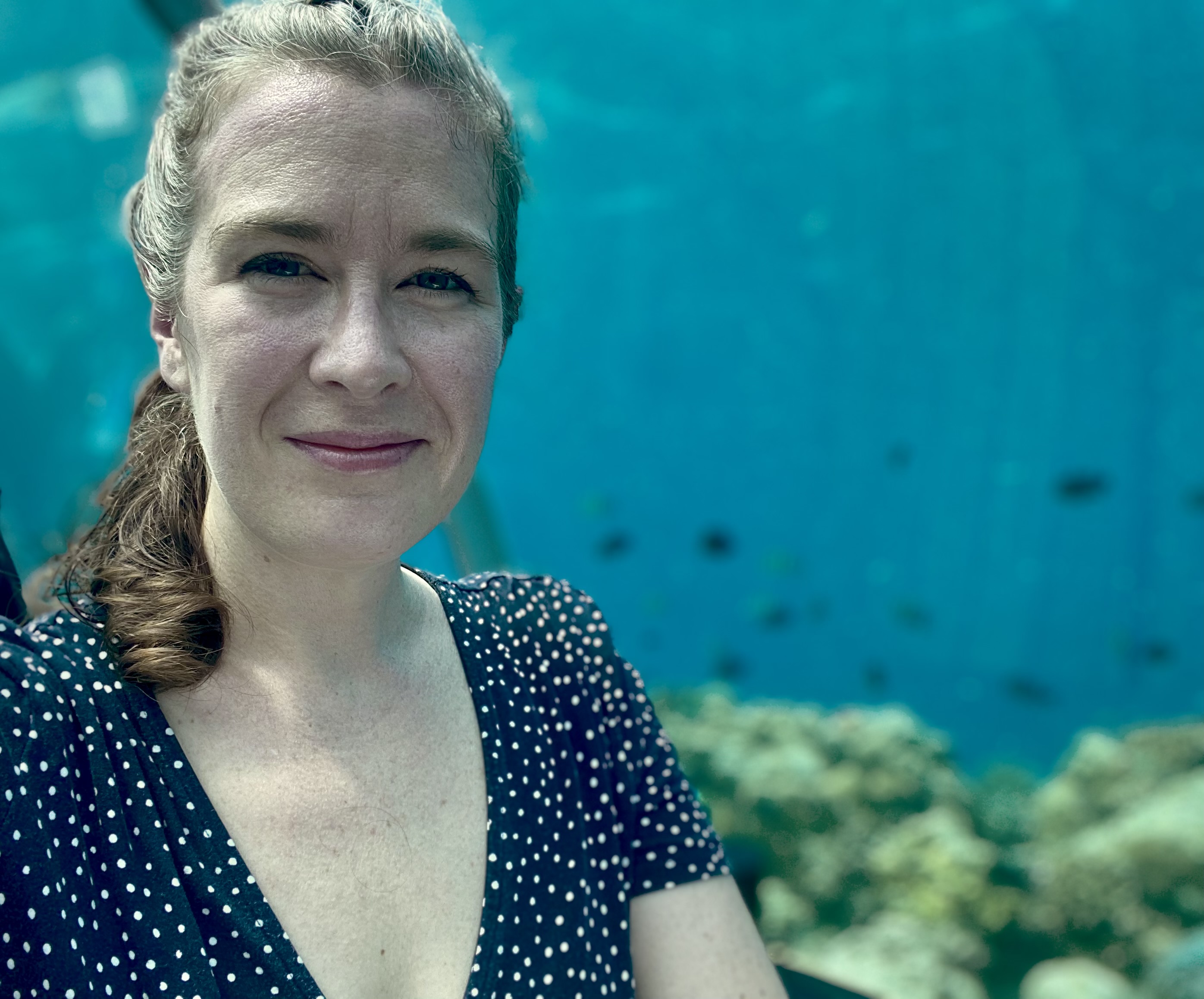 Cait Newport | The Eric and Wendy Schmidt AI in Science Postdoctoral ...