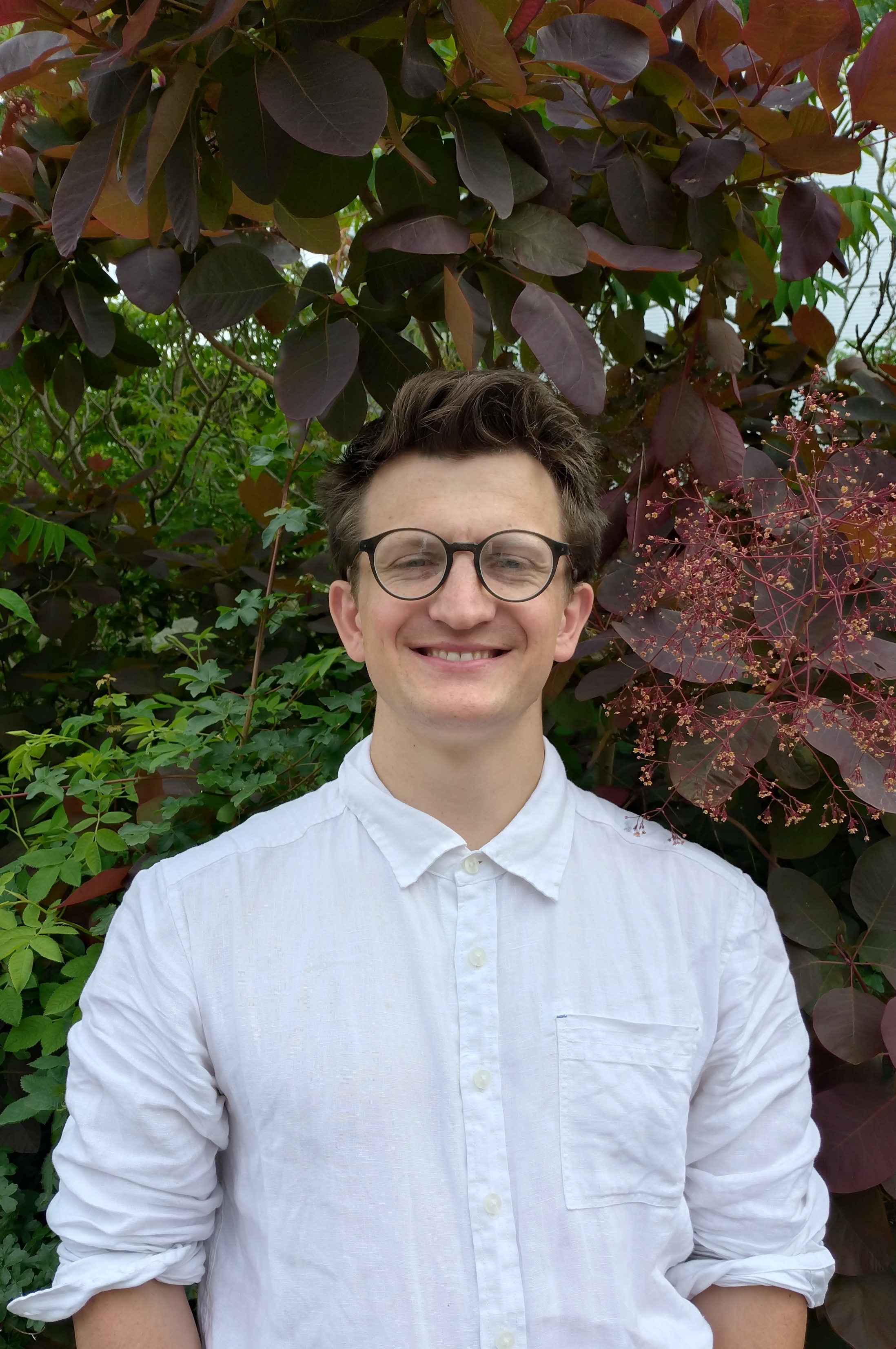 Henry Lloyd-Laney | The Eric and Wendy Schmidt AI in Science ...